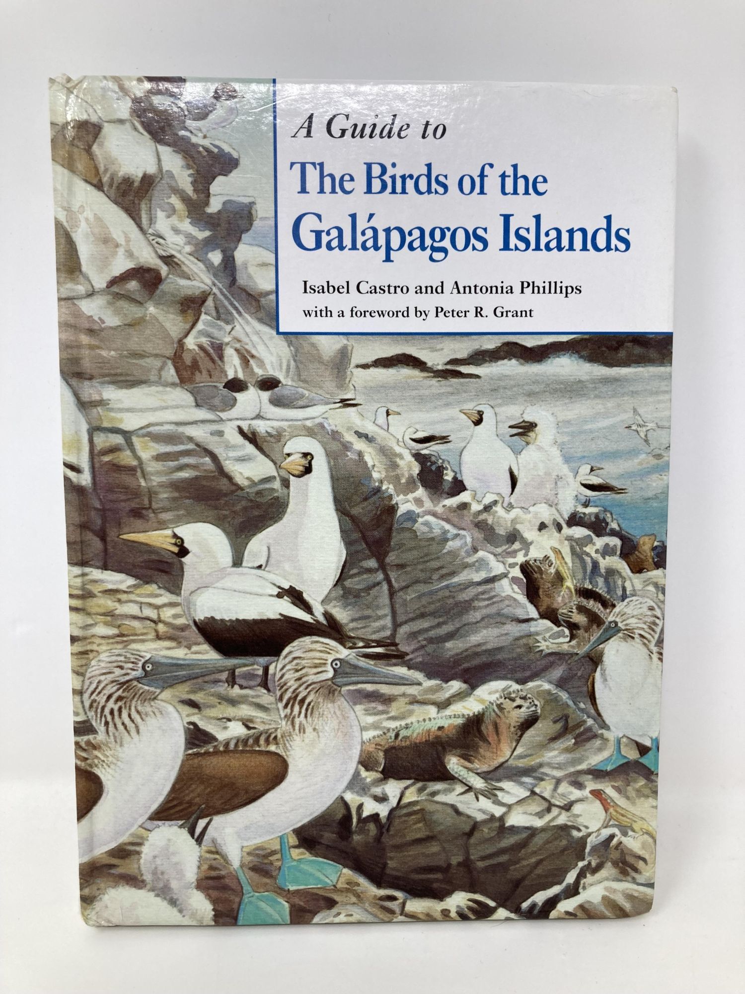 A Guide to the Birds of the Galápagos Islands | Isabel Castro, Antonia ...